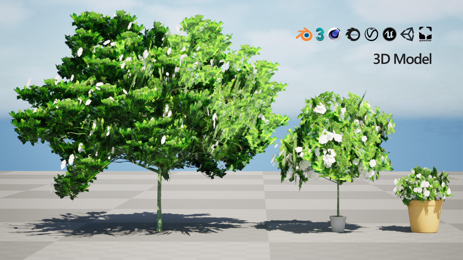 Gardenia Shrub Pack - mehrazvira.com