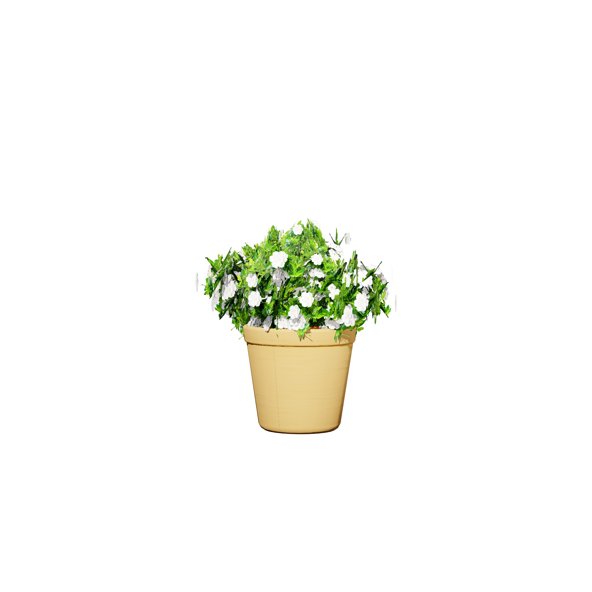 Gardenia Shrub Pack - mehrazvira.com