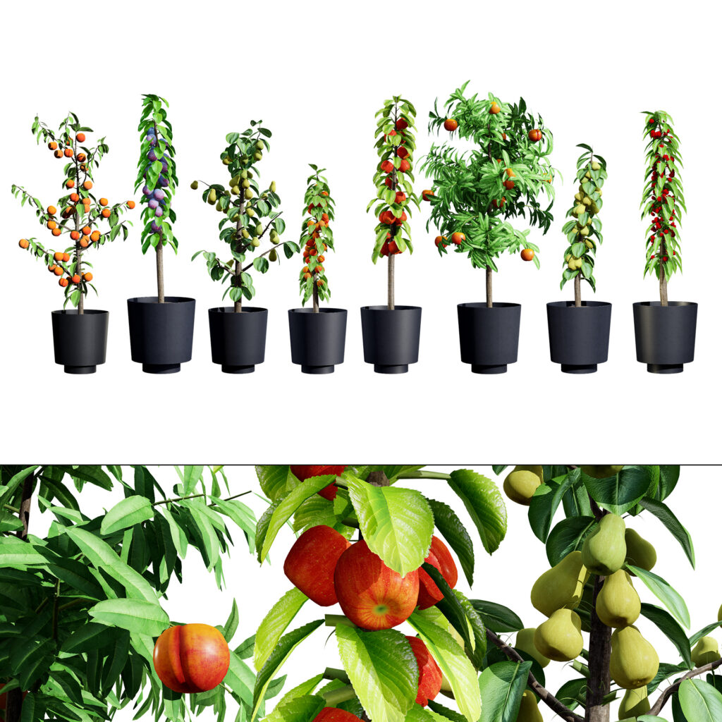 Columnar Fruit Trees - mehrazvira.com