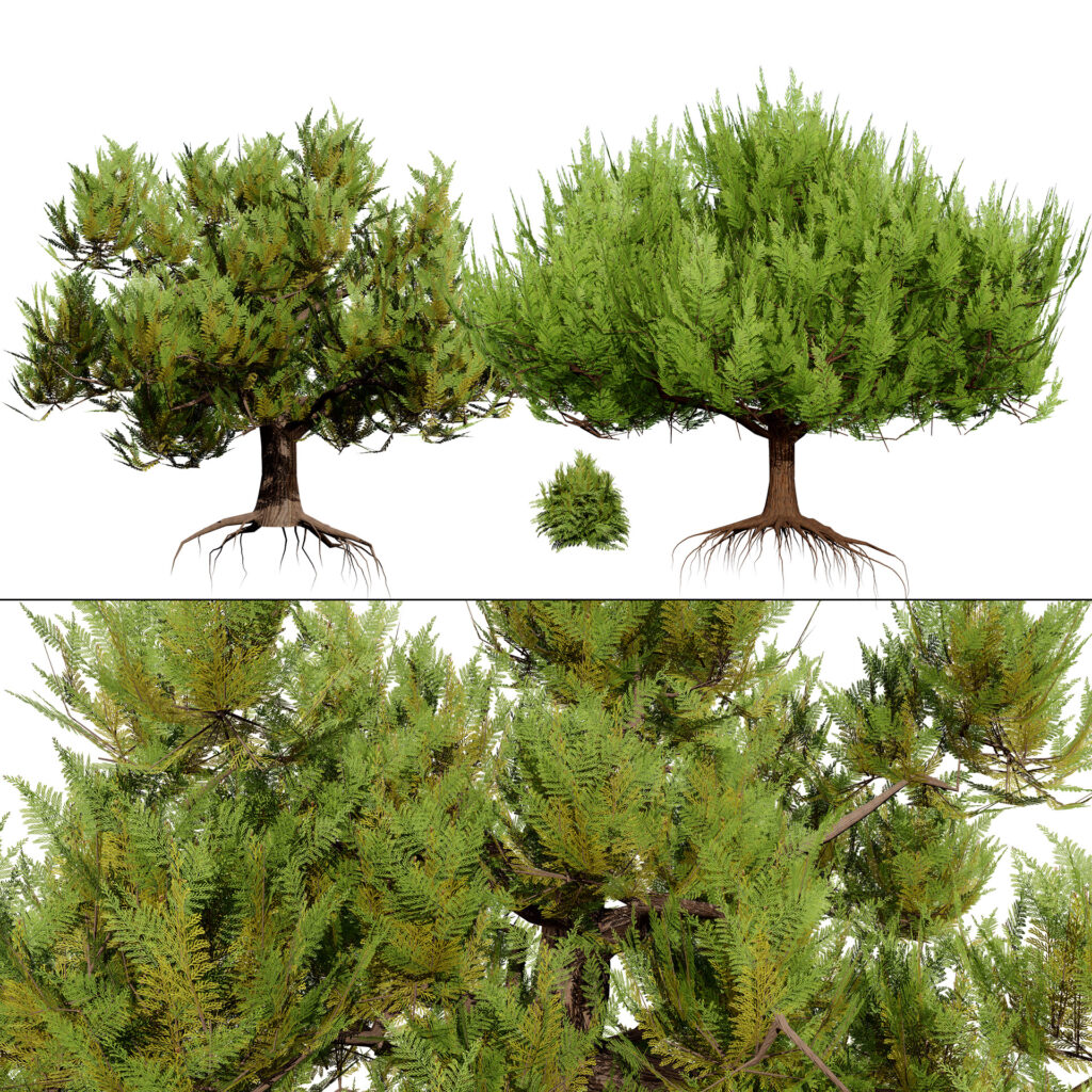 Pine Tree Pack - mehrazvira.com