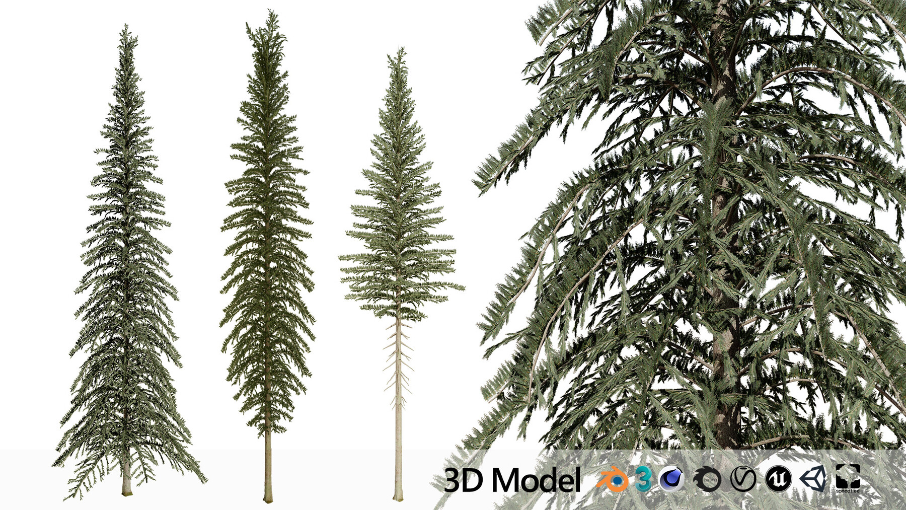 Spruce Tree Pack - mehrazvira.com