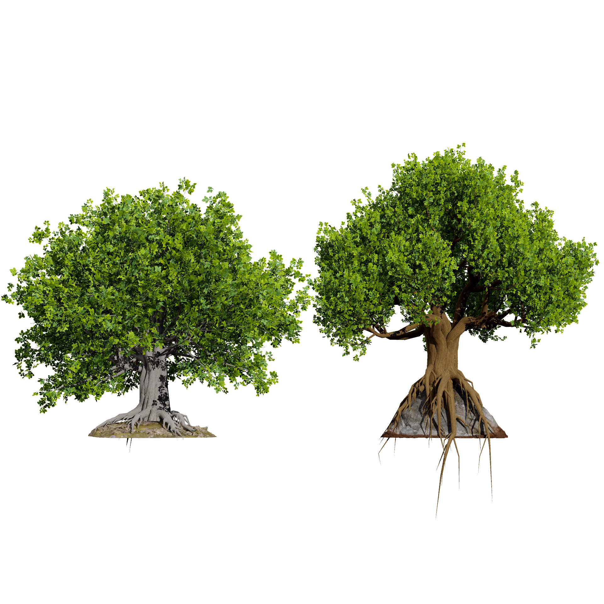 Stylized World Tree 3D Models - mehrazvira.com