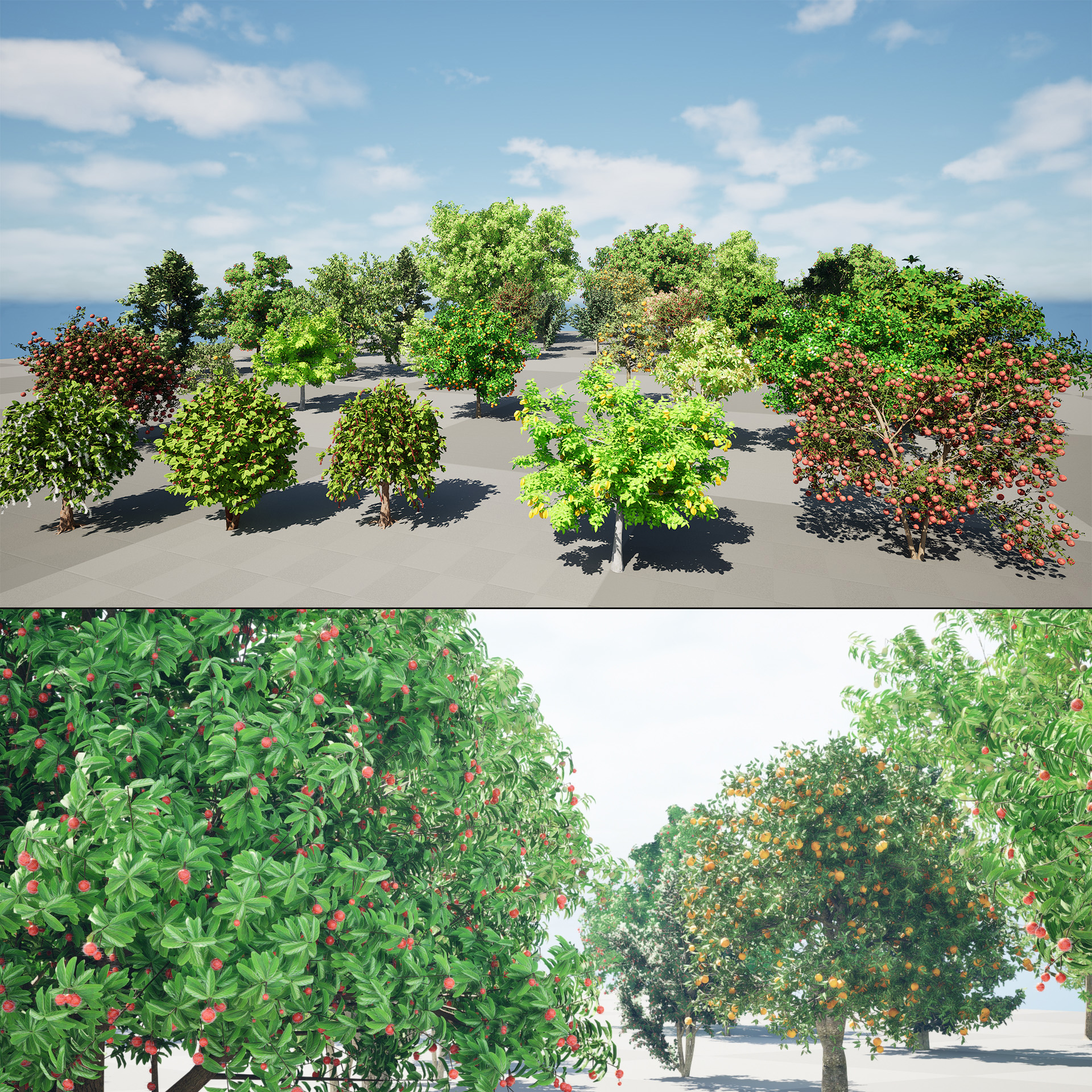 highly detailed Fruit Trees 3D Pack 01 - mehrazvira.com