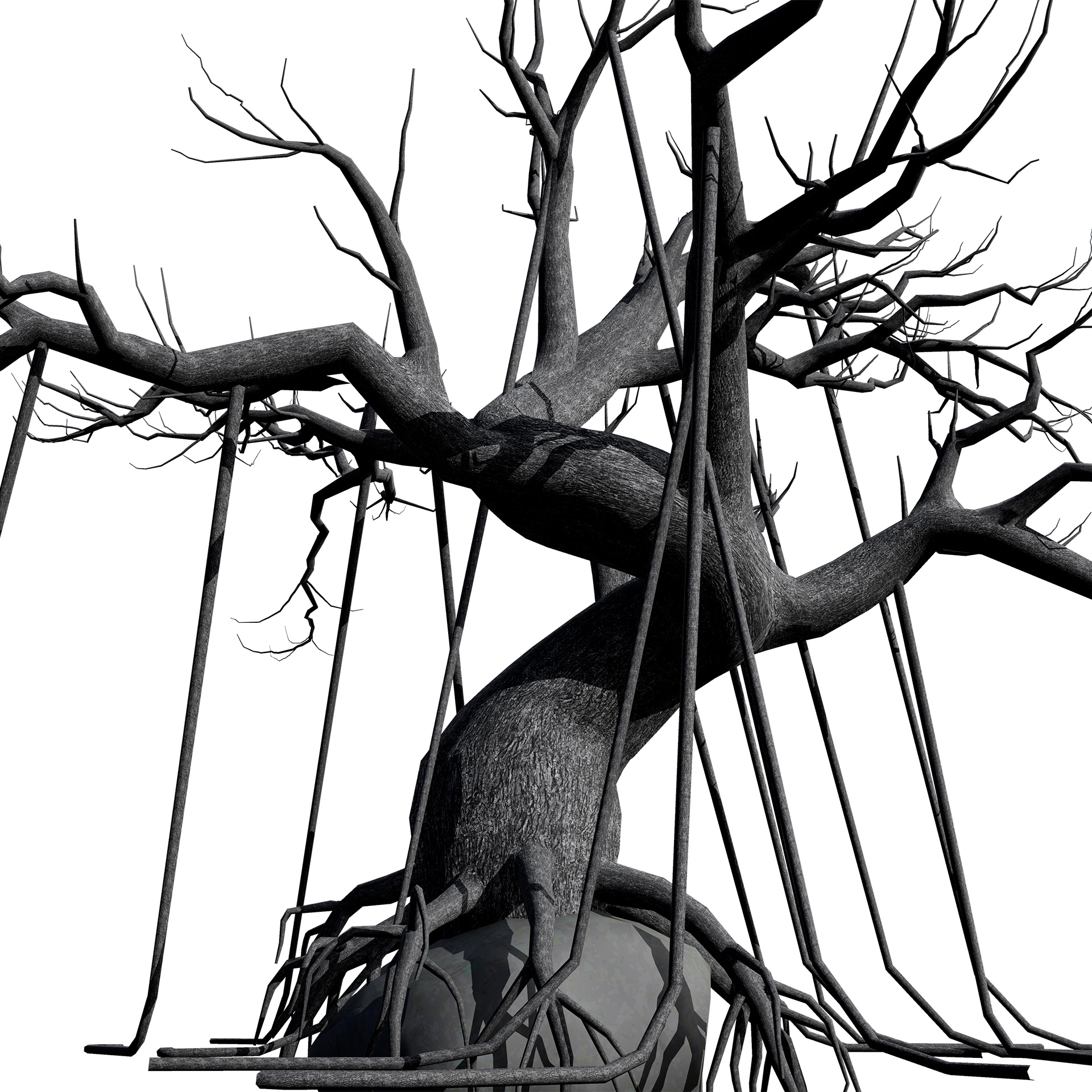 Creepy Trees 3D model - mehrazvira.com