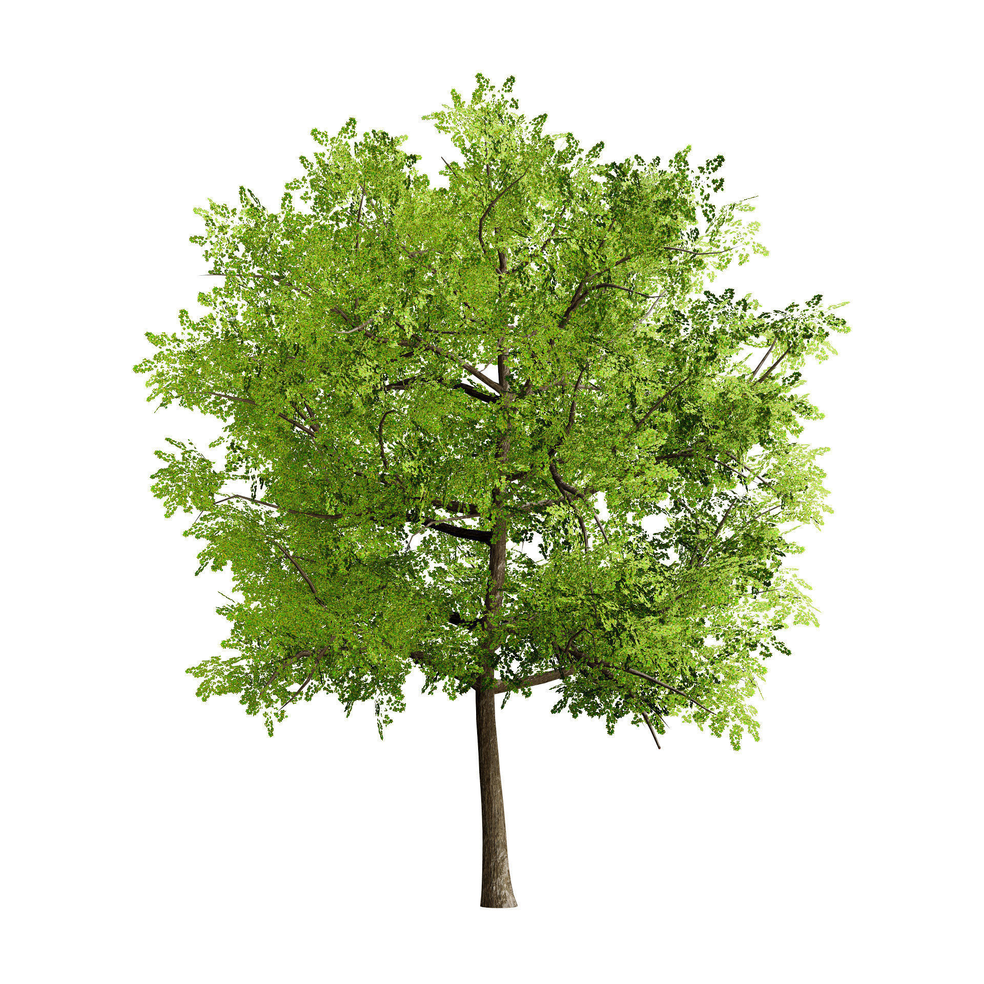 Game Ready Plane Trees with free tutorial - mehrazvira.com