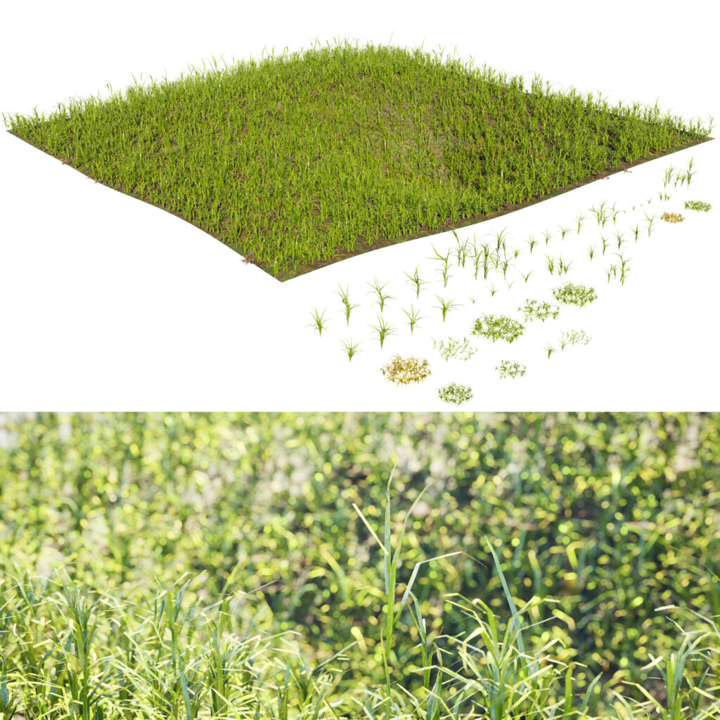 Game-Ready Grass Collection: Individual Types & Meadow Asset With Free ...
