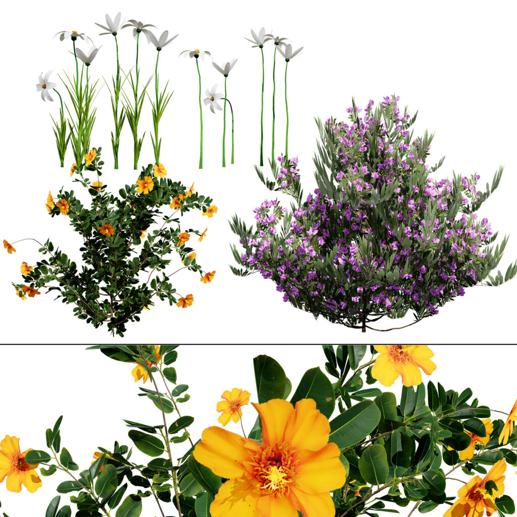 Photorealistic Moroccan Flora Pack - mehrazvira.com